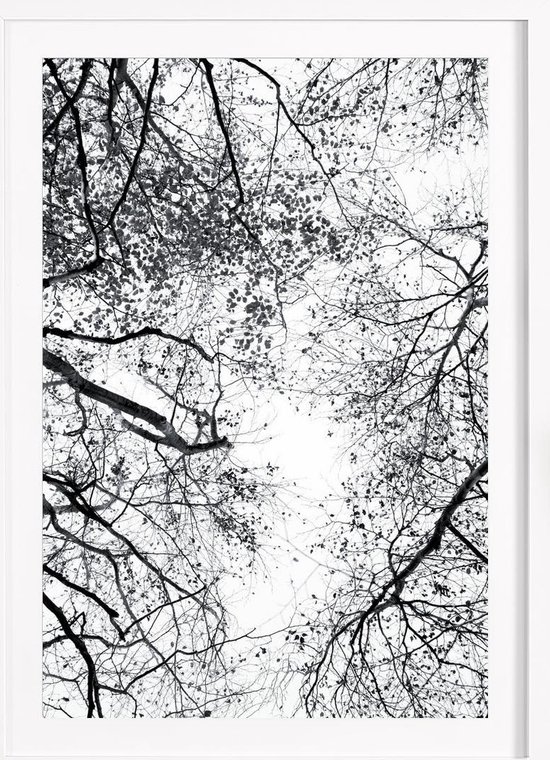 JUNIQE - Poster in premium houten lijst Reaching Into The Sky -60x90 | bol