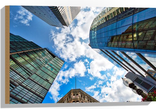 Hout - Gebouwen - Hoog - Wolken - Bloemen - Onderaanzicht - 60x40 cm ...