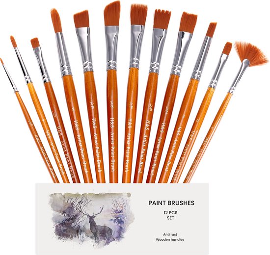 H&S Verf Borstels Set 12 stks Professionele Kunstenaar Verf Borstel ...