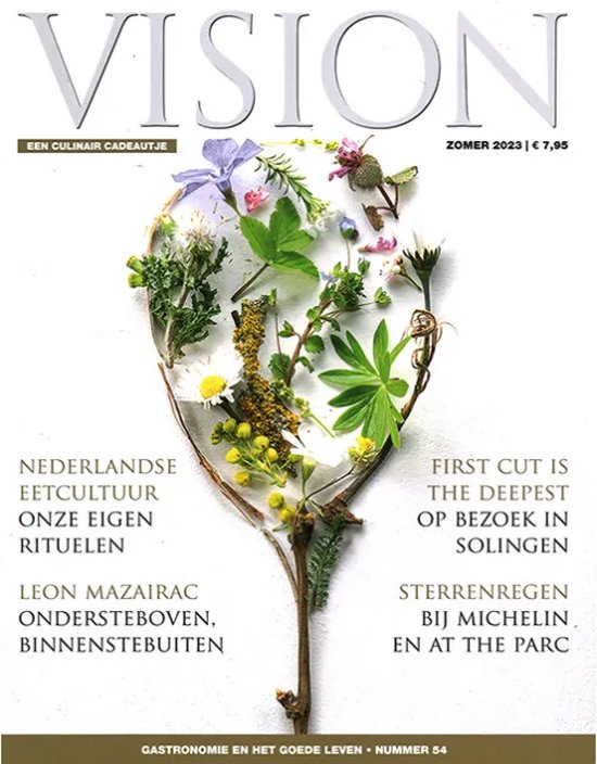 Vision - 54 2023 | bol