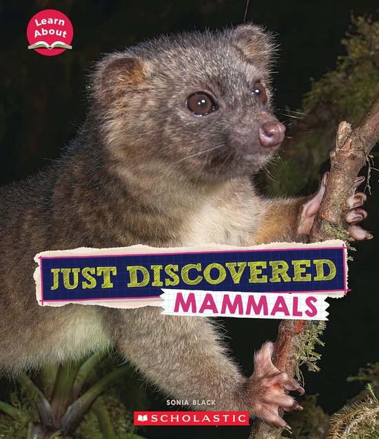Learn About - Just Discovered Mammals (Learn About: Animals) (ebook ...