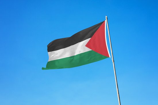 Palestijnse vlag - 100x70 cm - Palestina vlag - Duurzame vlag | bol