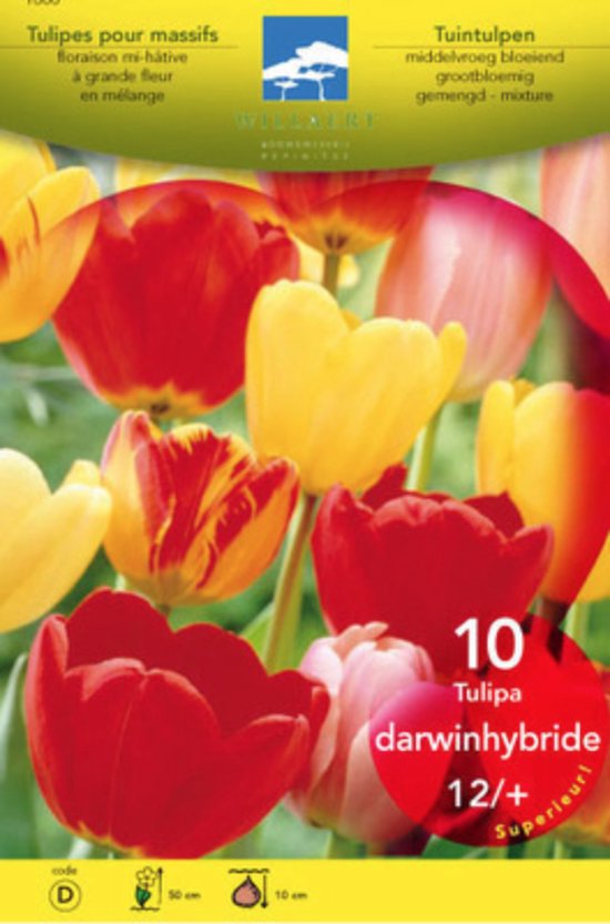 Tulipa darwinhybride gemengd - mix | bol