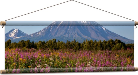 Textielposter - Bruine Berg aan het Einde van Roze Bloemenveld - 90x30 ...