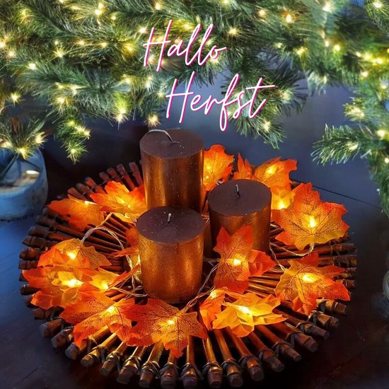 Led slinger - Led blaadjes - Sfeer verlichting - Herfst - Kerst - 10 ...