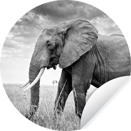 WallCircle - Muurstickers - Behangcirkel - Olifant - Gras - Dieren - Zwart wit -... | bol