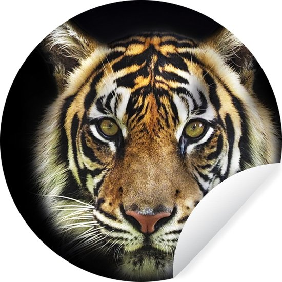 WallCircle - Muurstickers - Behangcirkel - Tijger - Dierenkop - Zwart - 100x100 cm -... | bol