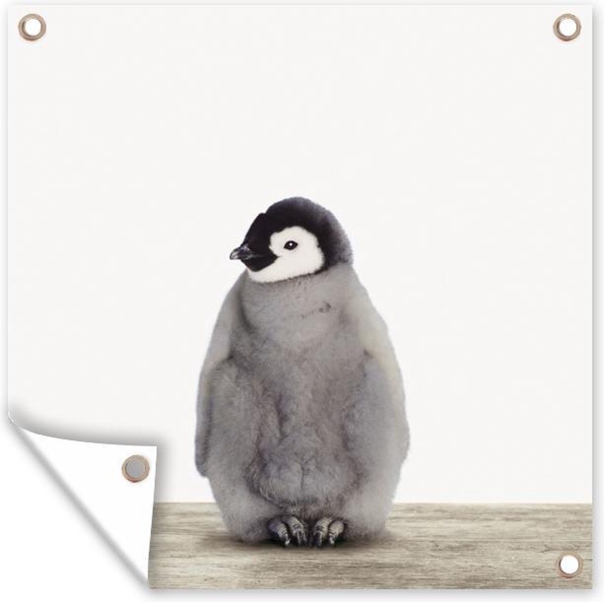 Posters de jardin Pingouin - Animaux - Bébé - 50x50 cm - Toile de ...