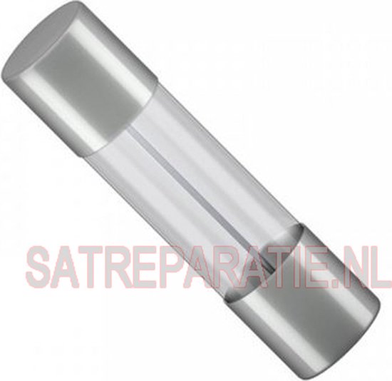 Glaszekering 250V F1.25A - 2 stuks - 20x5mm - snelle ...