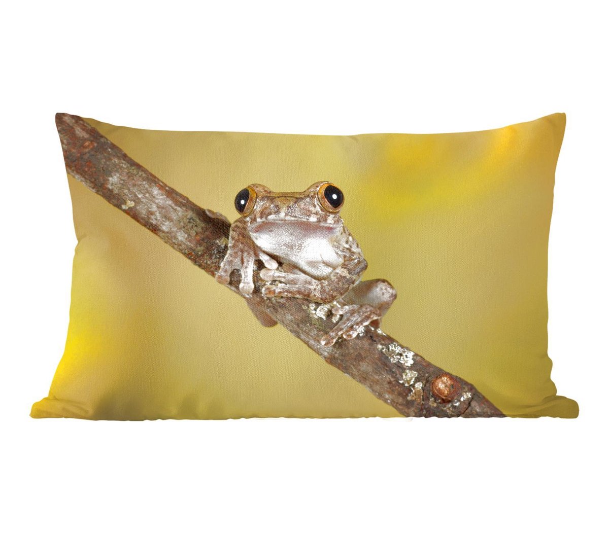 Sierkussen Kikker voor binnen - Boskikker op tak fotoprint - 50x30 cm ...