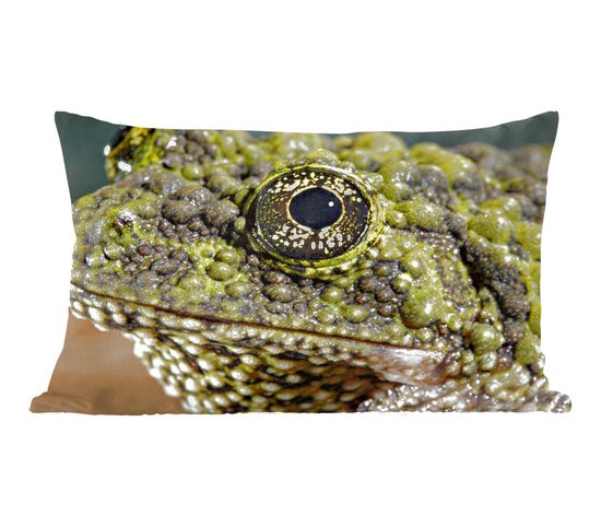 Pad - Reptiel - Dier | bol.com