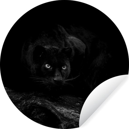 WallCircle - Muurstickers - Behangcirkel - Panter - Boomstam - Zwart - zwart wit -... | bol