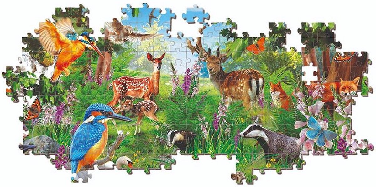 Clementoni Puzzels voor volwassenen - Fantastic Forest, Puzzel 2000 ...