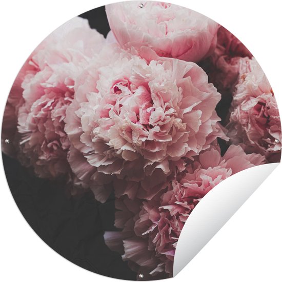 Cercle de jardin Bouquet de pivoines roses - 150x150 cm - Affiche de ...