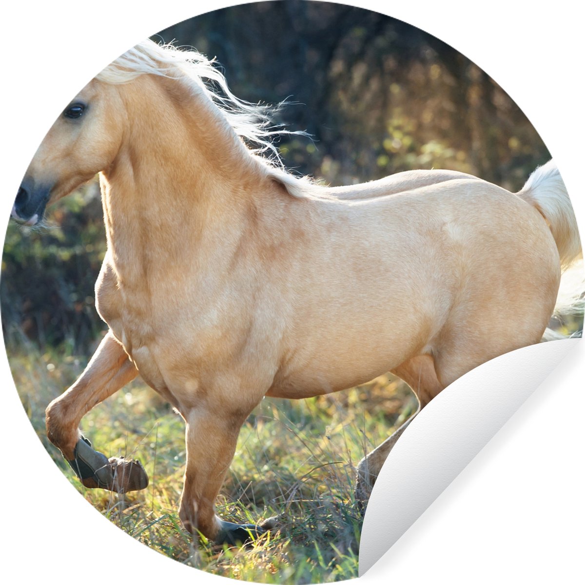 WallCircle - Muurstickers - Behangcirkel - Paard - Natuur - Bruin - 100x100 cm -... | bol.com