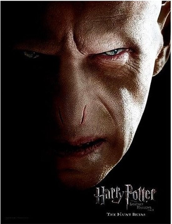 HARRY POTTER - GLASS PRINT - Voldemort Face - 30X40 Cm | bol.com