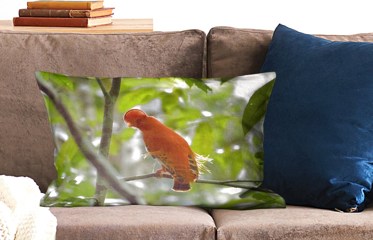 Kussenhoes 60x40 cm - De oranje rotshaan op een tak in een boom ...