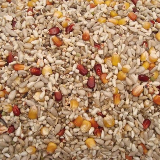 Vanrobaeys Top Energy 35 20KG | bol.com