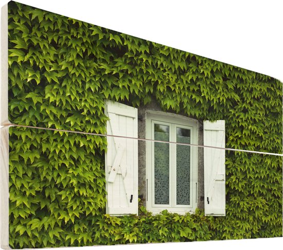 Klimplanten op hout - 60x40 - Raam met luiken tussen de klimplanten ...