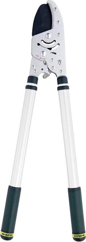 Razorsharp robuuste telescopische ratel-aambeeld-takkenschaar - Kew ...