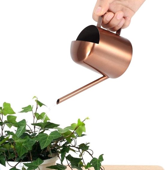 Metalen Water Gieter 10 oz/300 ml - Lange Uitloop - Binnen Buiten ...