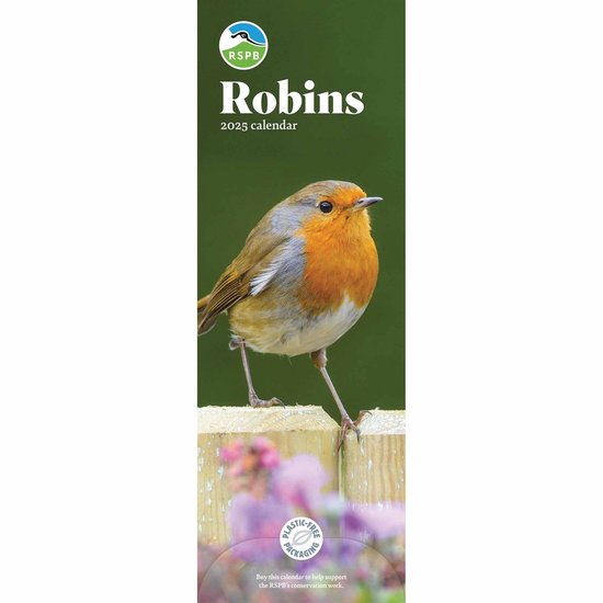 RSPB Roodborstjes Slimline Kalender 2025 | bol