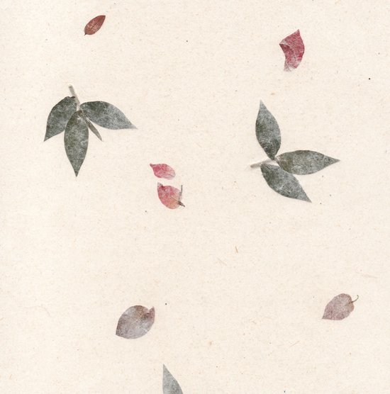 Set van 25 vel Tree Free Gampi papier met bloemen, A4 | bol