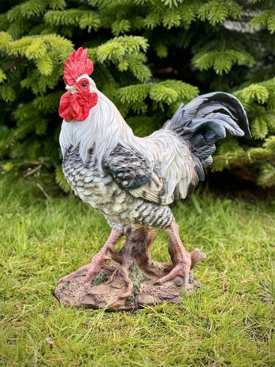 Haan wit groot 42 cm hoog - polyester - polystone - beeld - tuinbeeld ...