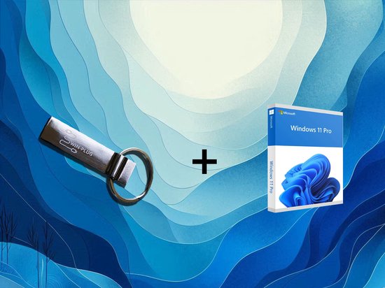 Win-Plug 16GB USB Stick met Windows 11 Pro Activatiesoftware | bol