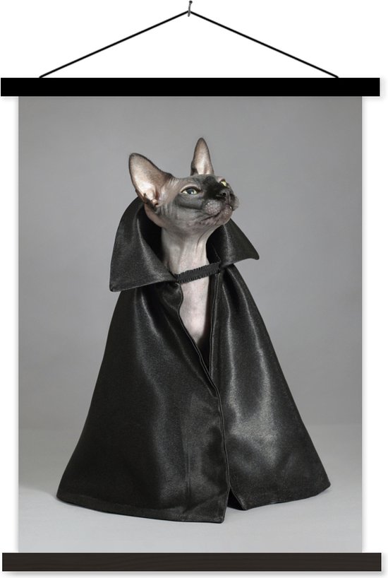 chat avec une cape noire poster textielposter lattes noires 120x160 cm ...
