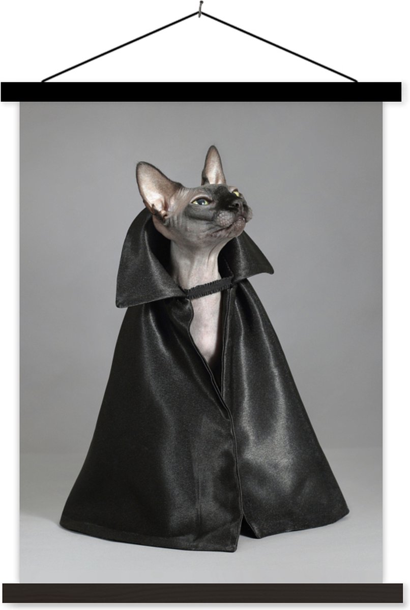chat avec une cape noire poster textielposter lattes noires 120x160 cm ...