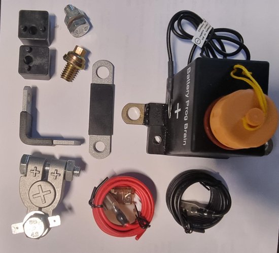 BATTERY CONTROLLER Battery Prog Brain Type 1 - Accubeveiliging - Brons ...