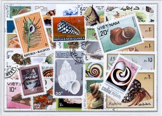 Schelpen – Luxe postzegel pakket (A6 formaat) : collectie van 50 ...