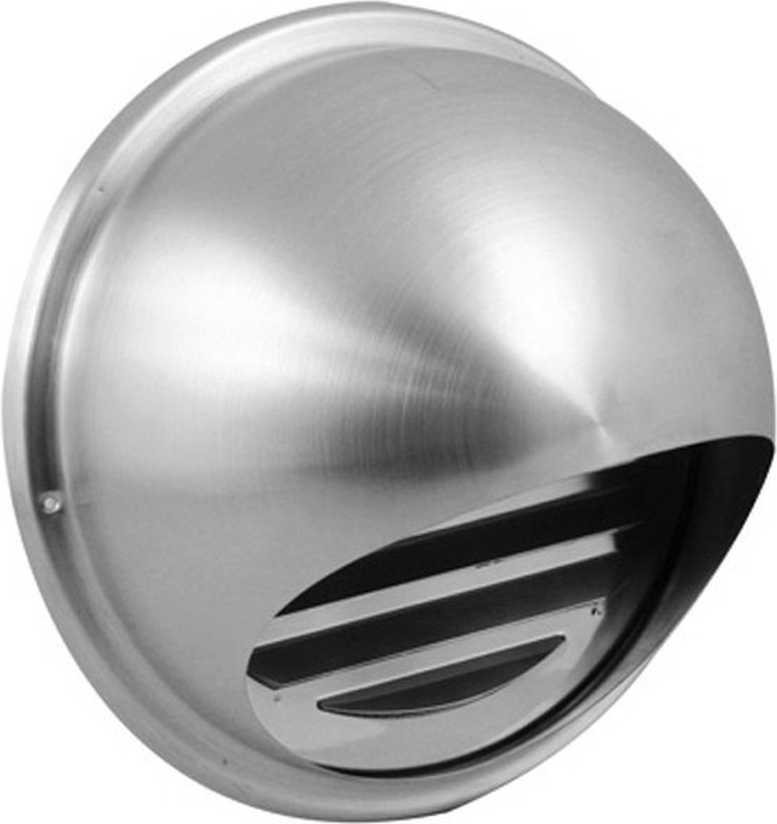 bolrooster met schoepen en muggengaas Ø 125 mm RVS-316 | bol.com