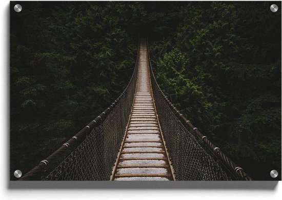Walljar - Brug In Het Woud - Muurdecoratie - Plexiglas schilderij | bol.com