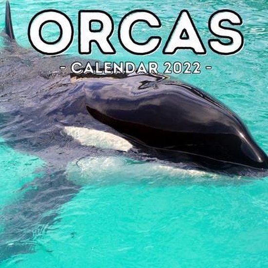 Orcas Calendar 2022 | bol.com