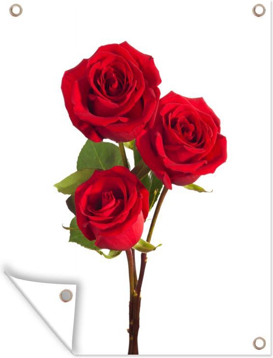 Décoration murale' extérieur Roses - Fleurs - Rouge - 120x160 cm ...