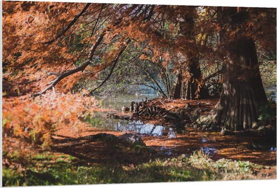 Forex - Rustgevend Meer - 120x80cm Foto op Forex | bol.com