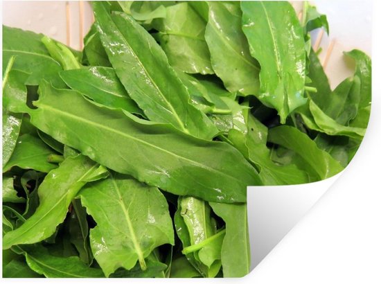 Muursticker Zuring - Eetbare zuring bladeren ophoopje - 120x90 cm ...