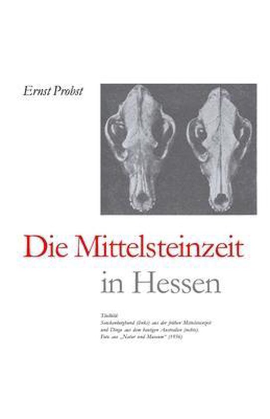 Bücher Von Ernst Probst Über Die Steinzeit-Die Mittelsteinzeit in ...