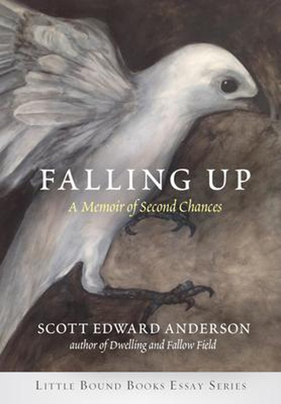 Falling Up, Scott Edward Anderson | 9781947003484 | Boeken | bol.com