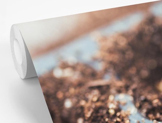 Behang - Fotobehang Het zaaien van mais in plastic bakken - Breedte 450 ...