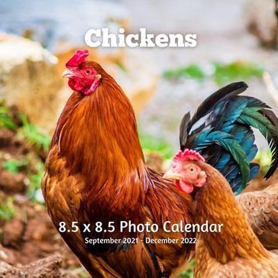 Chickens 8.5 X 8.5 Calendar September 2021 -December 2022: Monthly ...