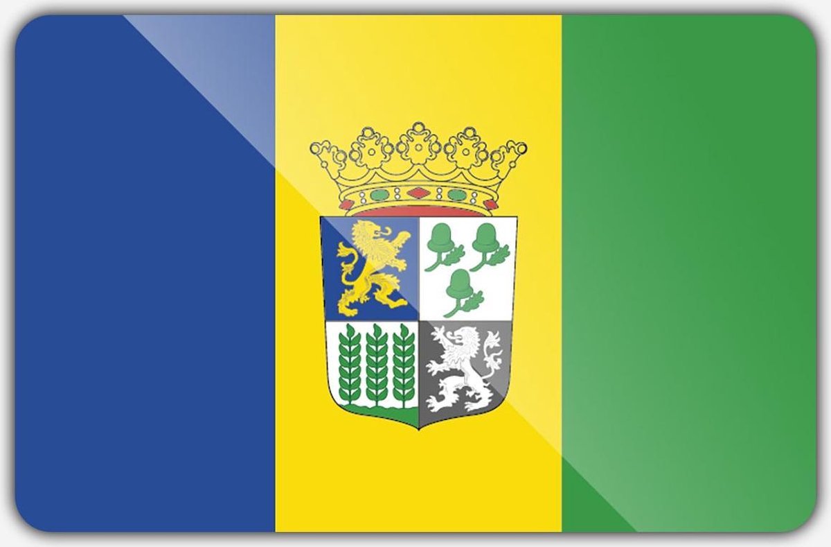 Vlag gemeente Castricum - 200 x 300 cm - Polyester | bol.com