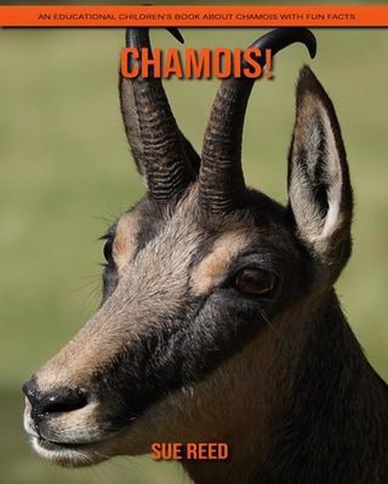 Chamois! An Educational Children's Book about Chamois with Fun Facts ...