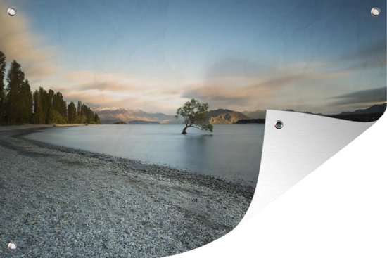 Lake Wanaka and the Wanaka Tree in New Zealand Garden poster 120x80 cm ...