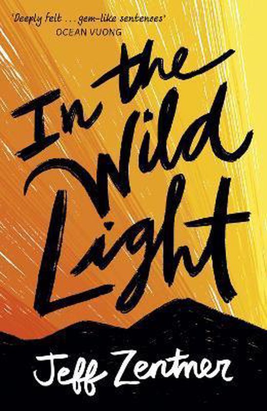In the Wild Light, Jeff Zentner | 9781839130847 | Boeken | bol.com