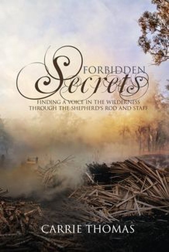 Forbidden Secrets (ebook), Carrie Thomas | 9780578500973 | Boeken | bol.com