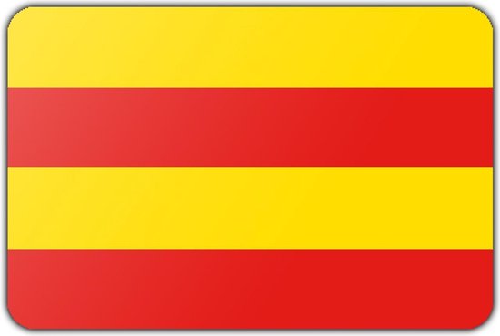 Vlag gemeente Heemstede - 70 x 100 cm - Polyester | bol.com