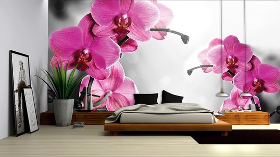 Fotobehang Vlies | Orchideeën, Bloem | Roze | 368x254cm (bxh) | bol.com